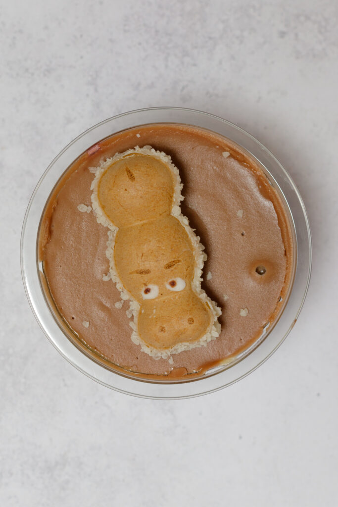 Tartita de Happy Hippo - Tartitas Antonelia